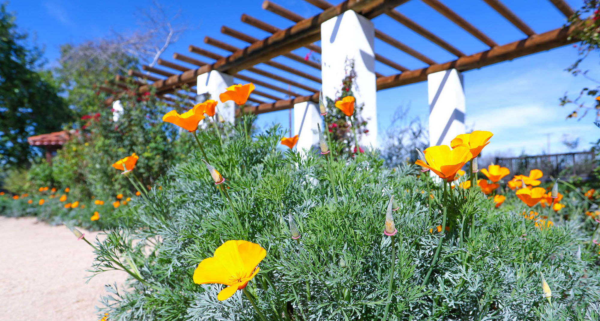 Areas in California - OuterSpatial