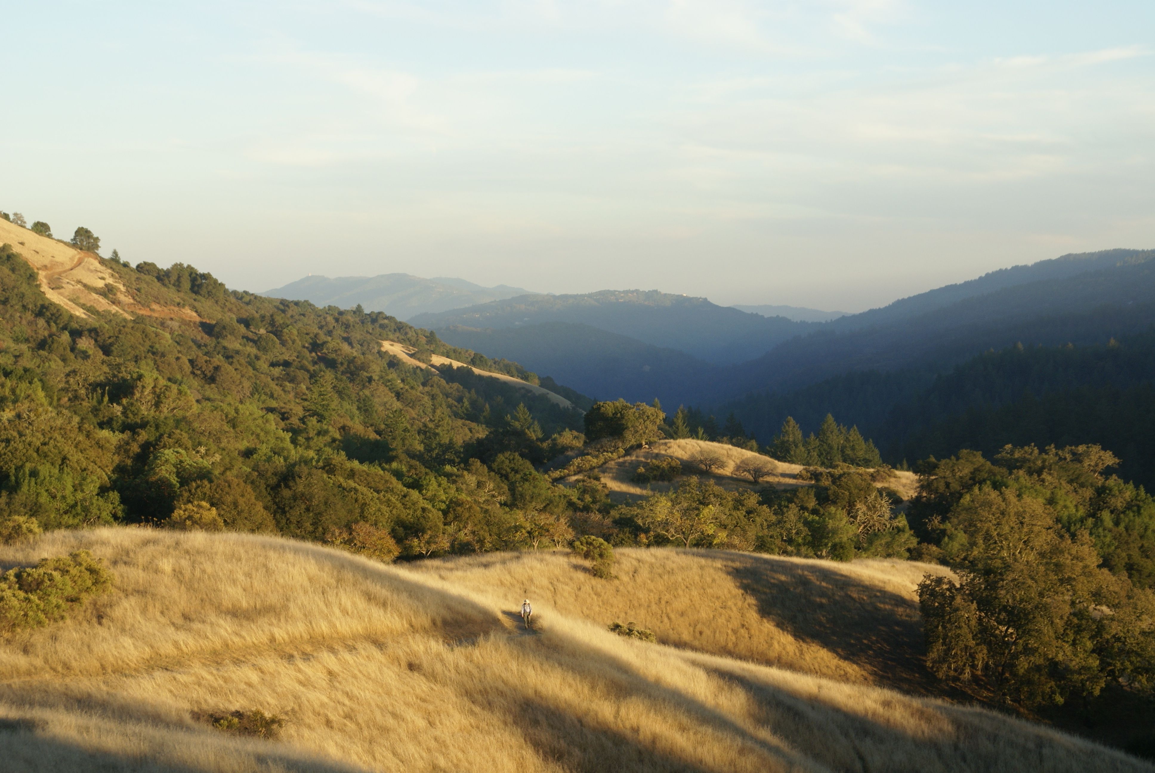 Stevens Creek Trail - Canyon Trail - Outings - OuterSpatial
