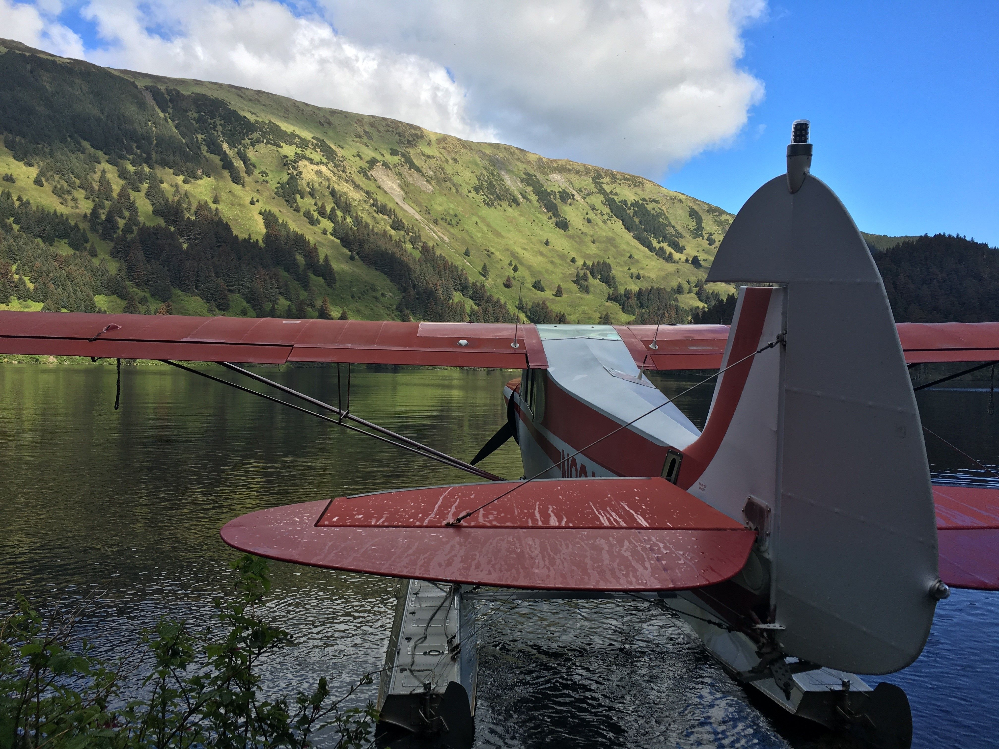 Afognak Island State Park - Areas - OuterSpatial