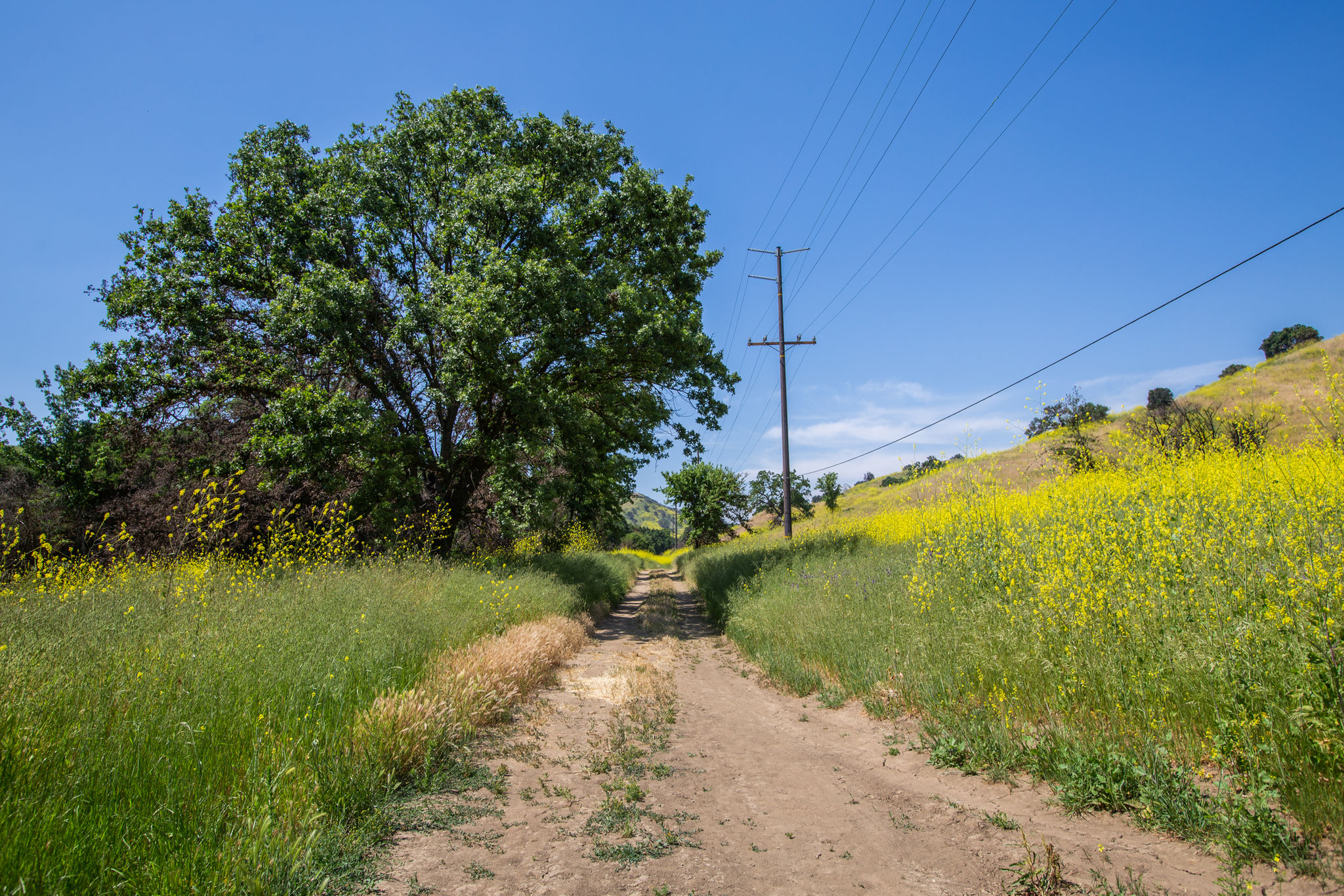 Trails in CA State Parks - OuterSpatial