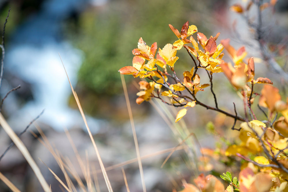 Riley Ranch To Tumalo State Park - Outings - OuterSpatial