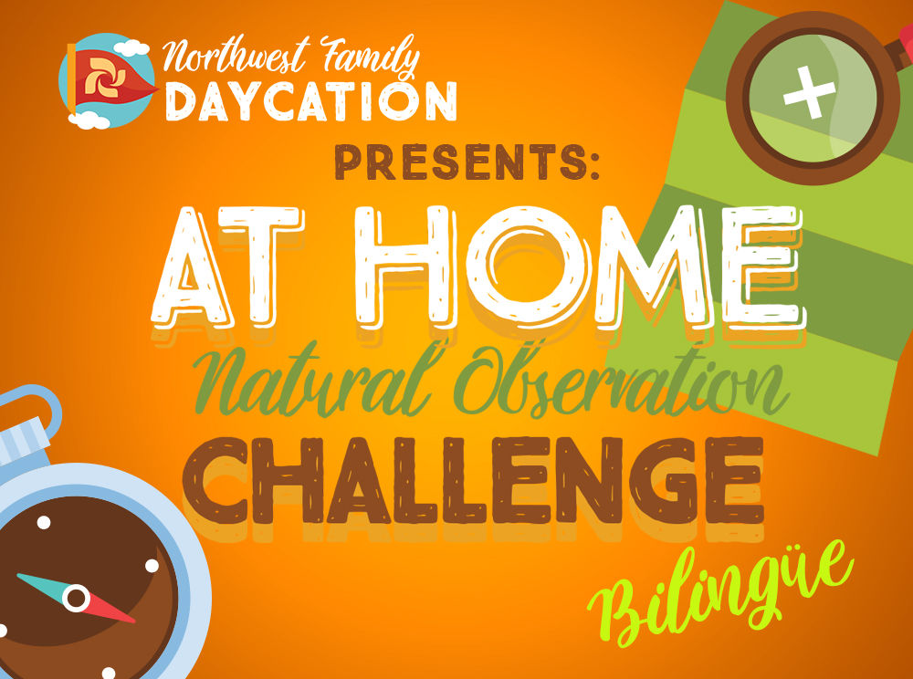 At Home Natural Observation Challenge - Outings - OuterSpatial