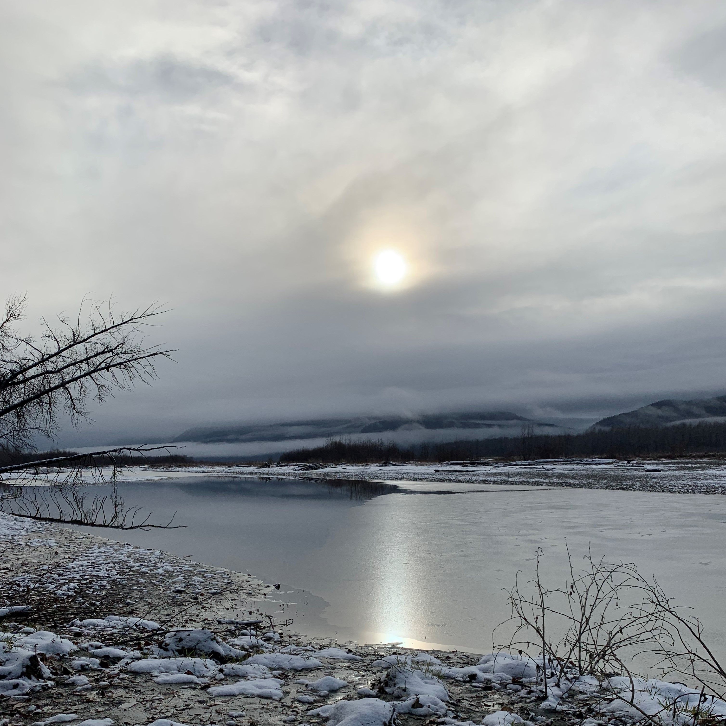 Chilkat Bald Eagle Preserve - Áreas - OuterSpatial