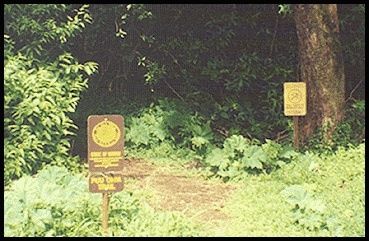 Pu'u Ohia Trail - Trails - OuterSpatial