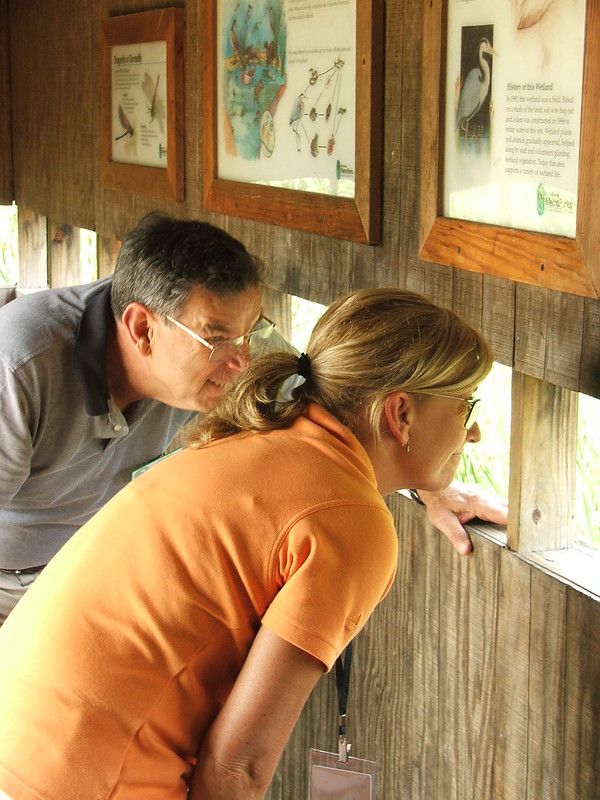 Bird Blind - Points of Interest - OuterSpatial