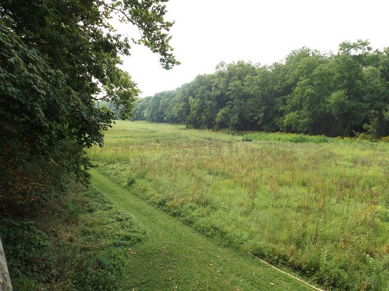 TAMP Violet Trail - Trails - OuterSpatial