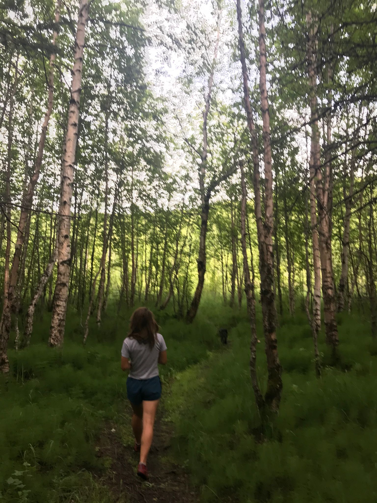Matanuska Greenbelt - Articles - OuterSpatial