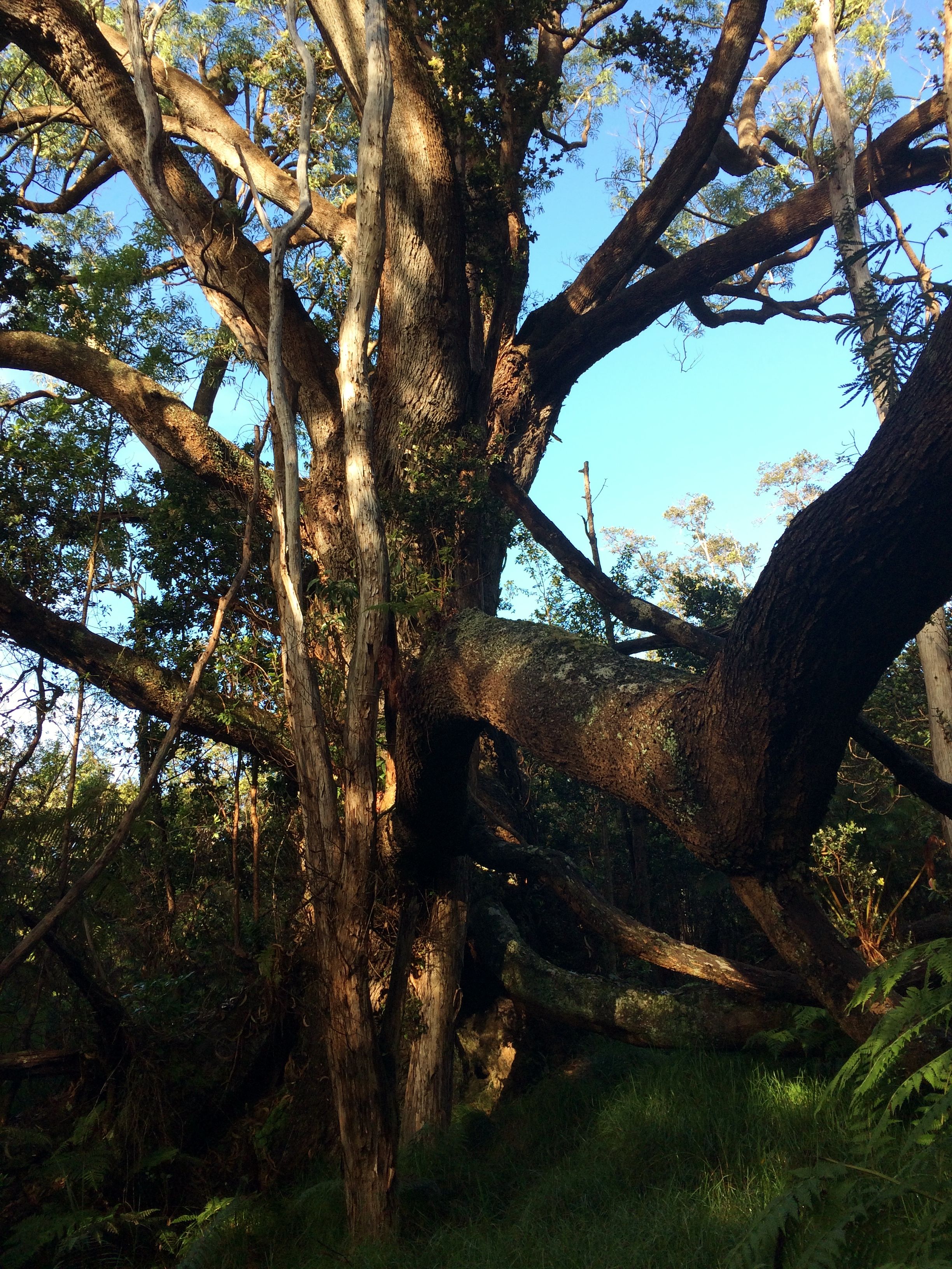 Areas in Hawaiʻi - OuterSpatial