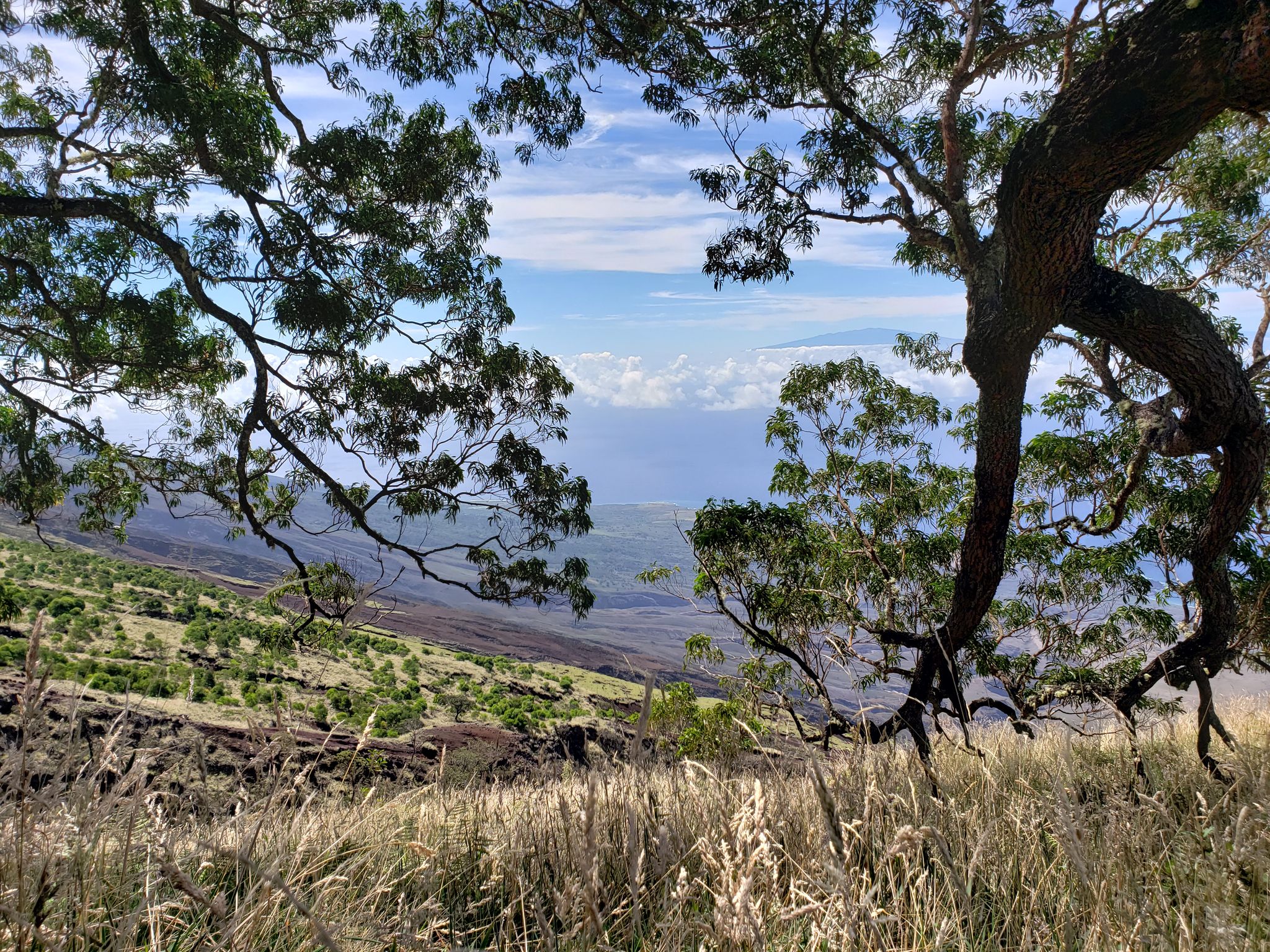 Kahikinui Forest Reserve - Areas - OuterSpatial