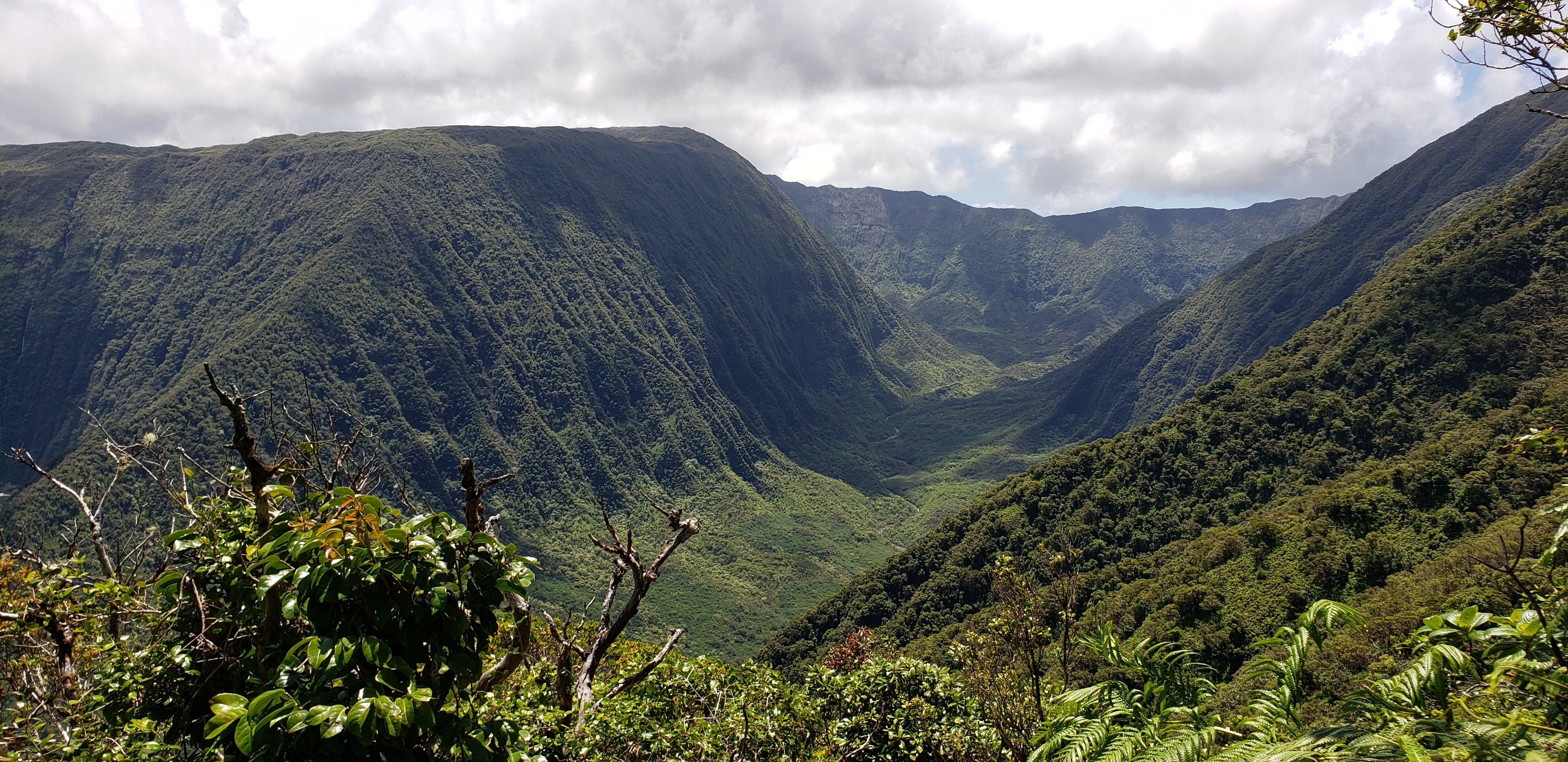 Oloku‘i Natural Area Reserve - Areas - OuterSpatial