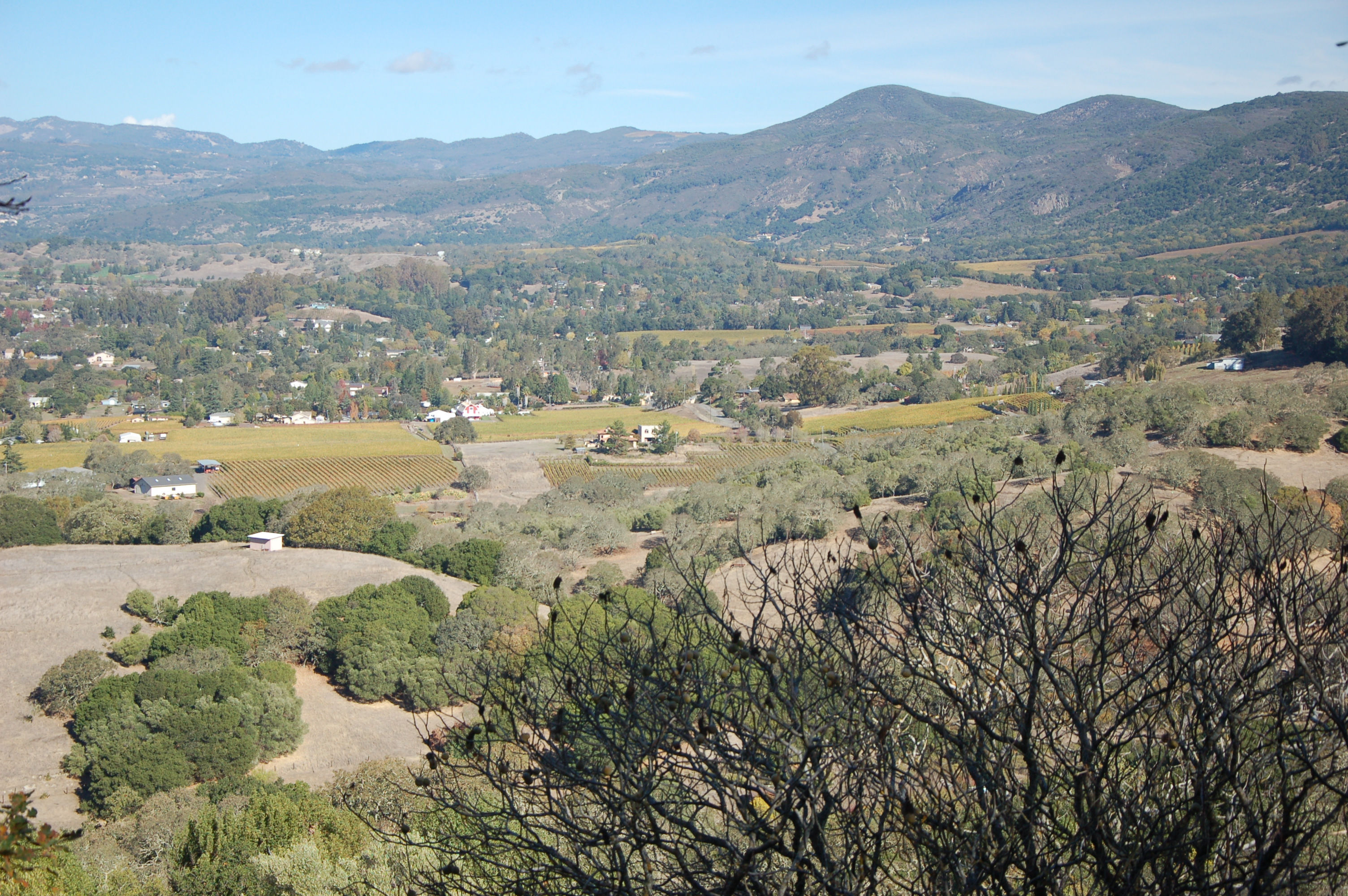 Bay Area Ridge Trail: Skyline Wilderness Park and Napa Solano Ridge ...