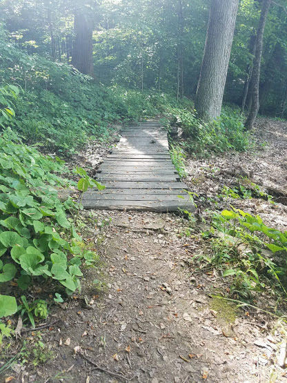 Wapehani North Loop Trail - Trails - OuterSpatial