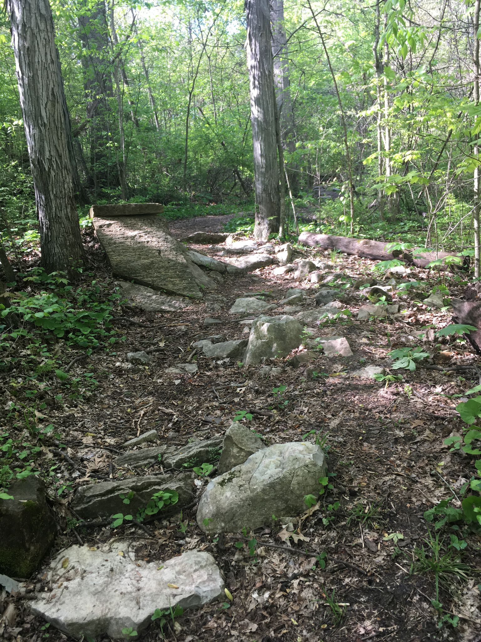 Wapehani South Loop Trail - Trails - OuterSpatial