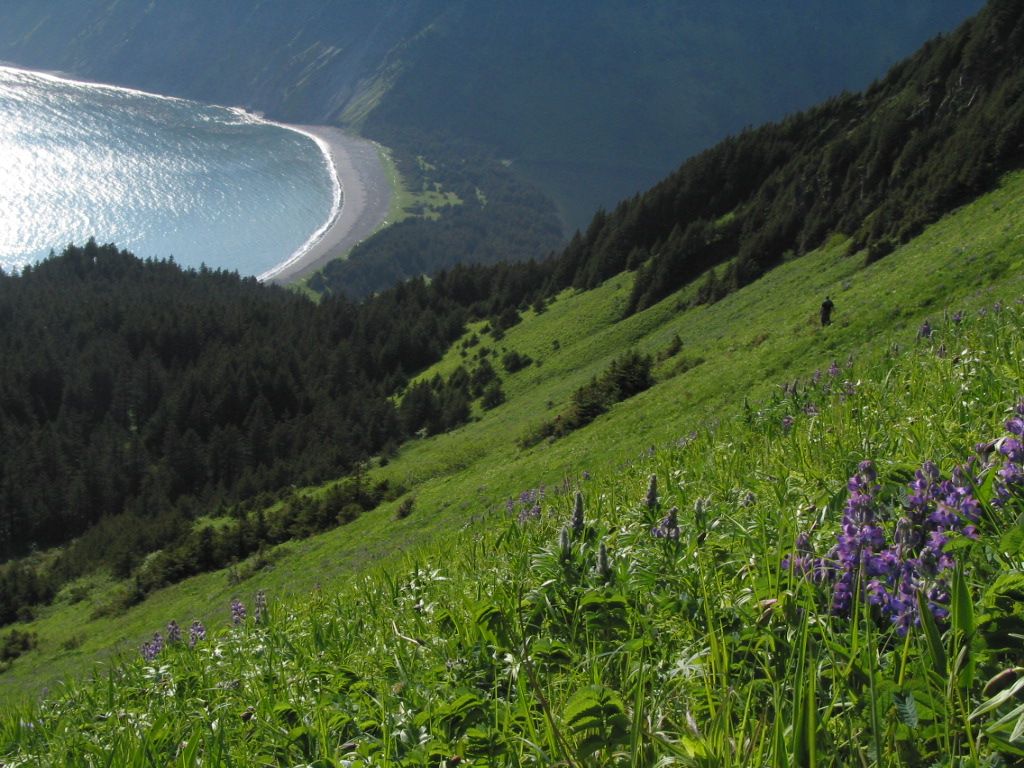 Afognak Island State Recreation Area - Áreas - OuterSpatial