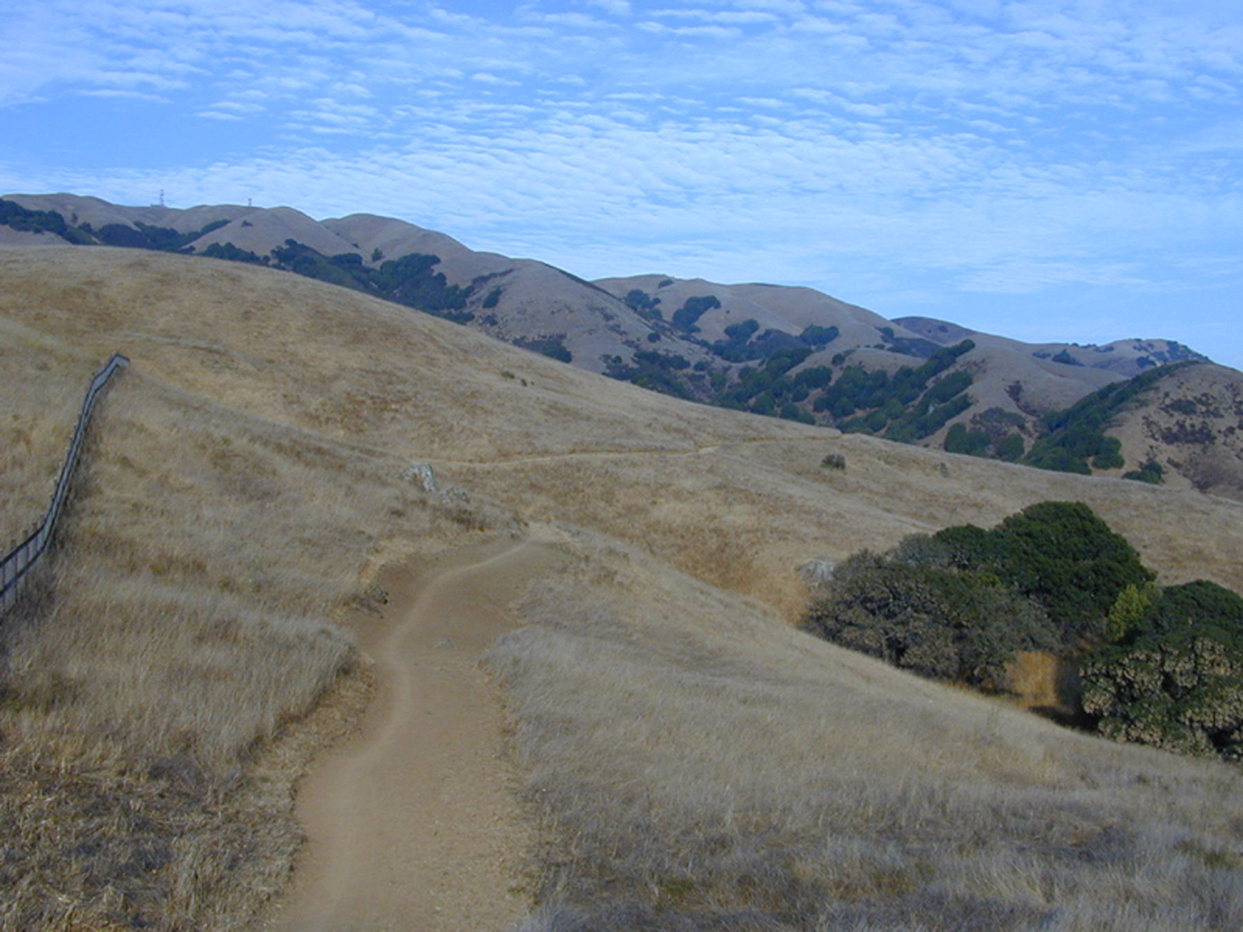 Bay Area Ridge Trail: Lucas Valley Open Space Preserve - Outings ...