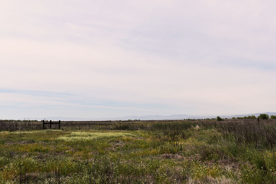 Great Valley Grasslands State Park - Areas - OuterSpatial