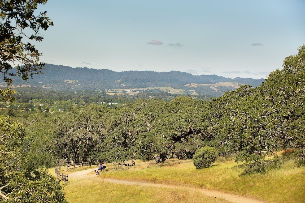 Foothill Regional Park - Areas - OuterSpatial