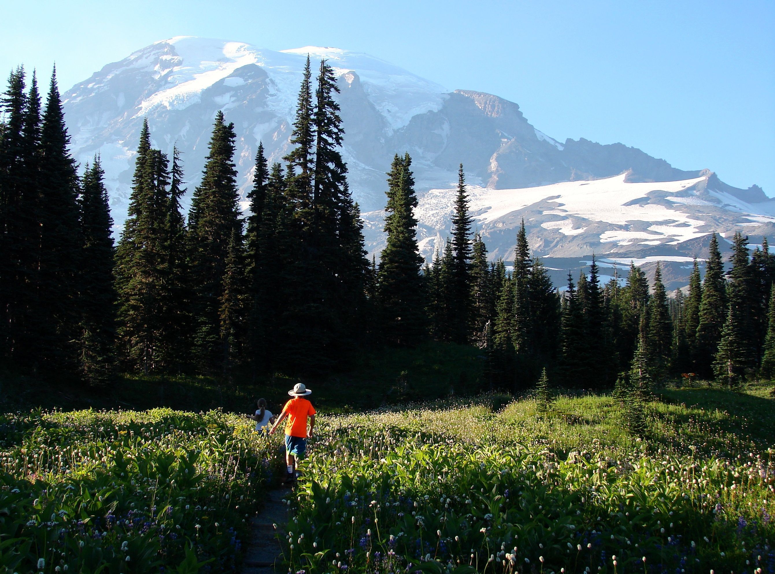Mount Rainier National Park - Areas - OuterSpatial