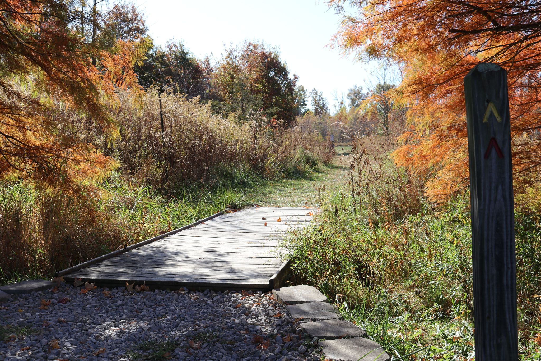 Flatwoods Trail Hike: East Loop Trail (Brown) - Outings - OuterSpatial