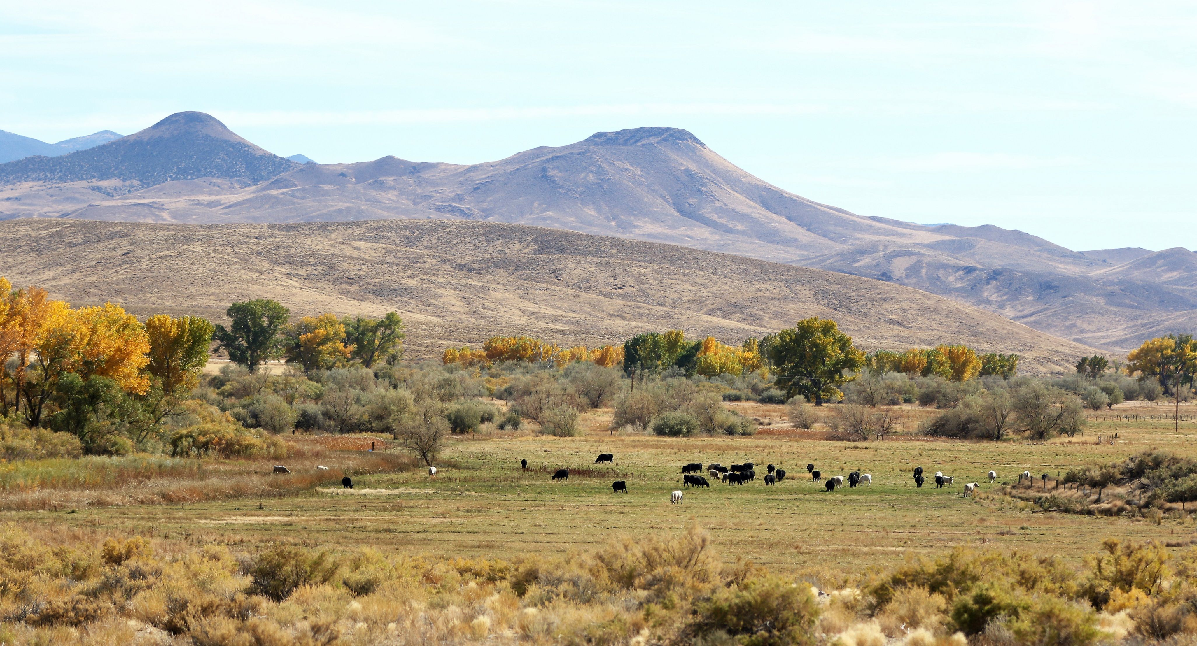 Walker River State Recreation Area - Rafter 7 Ranch - Areas - OuterSpatial