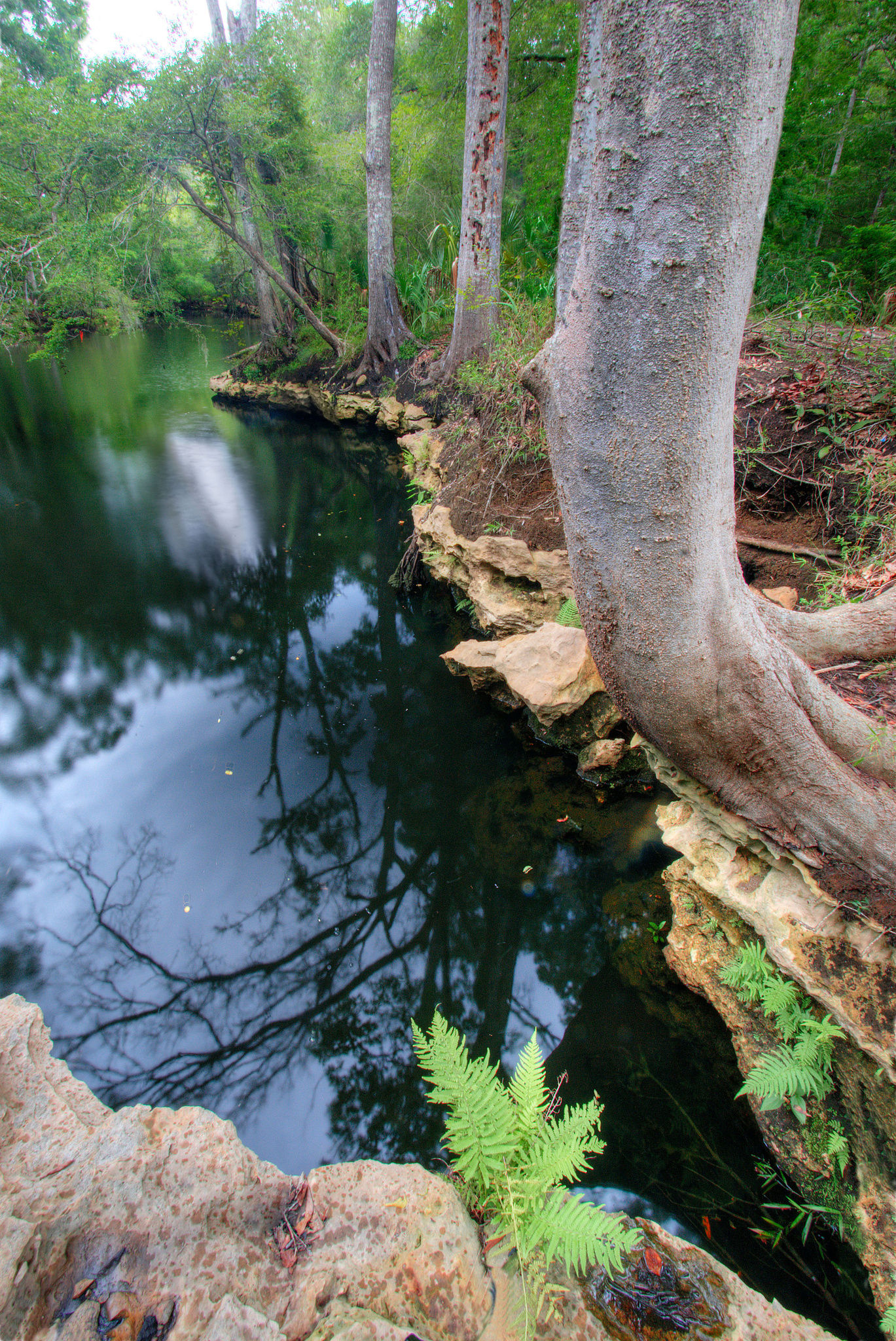 Aucilla River Trail - Points of Interest - OuterSpatial