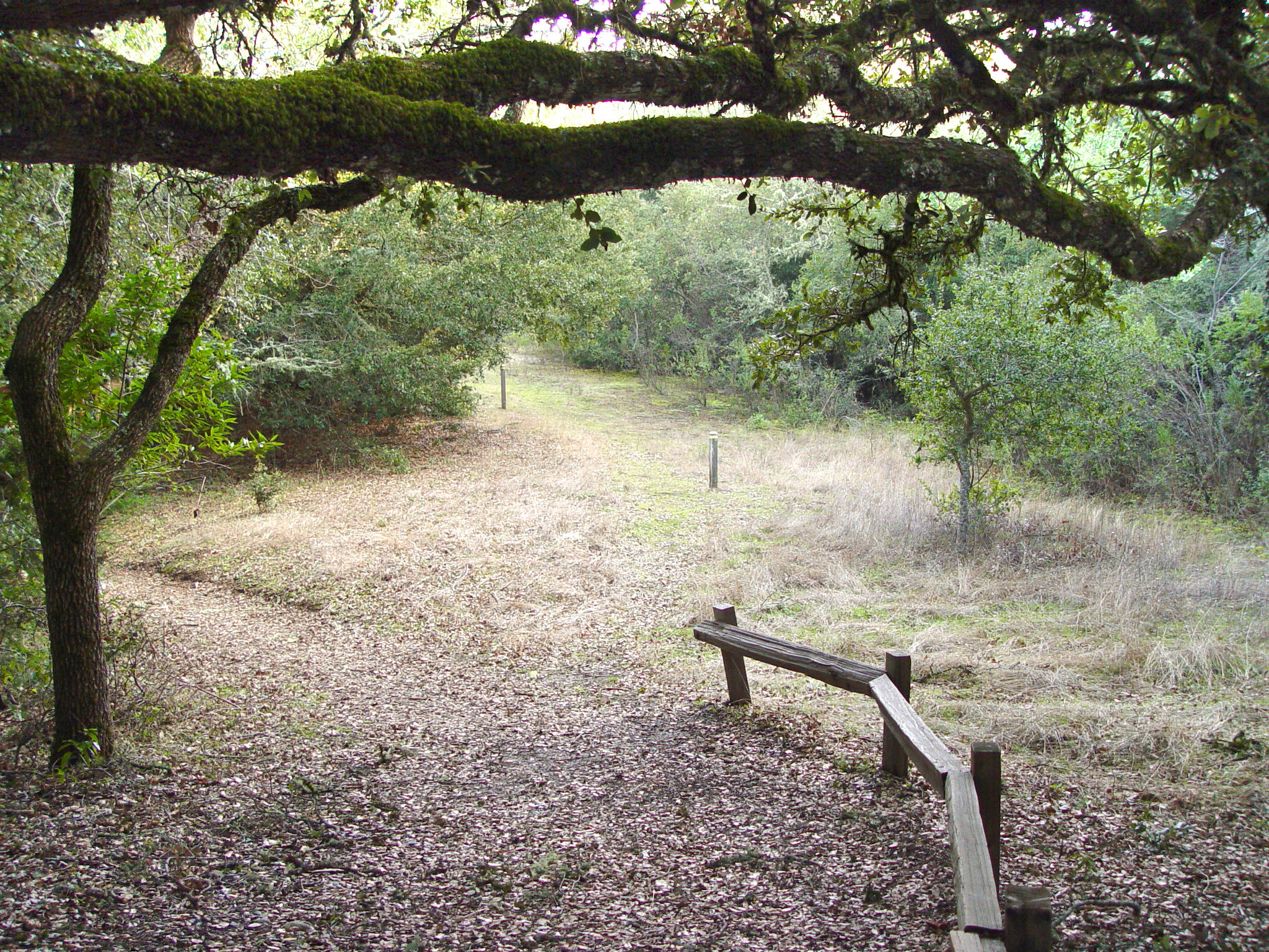 Articles in California - OuterSpatial