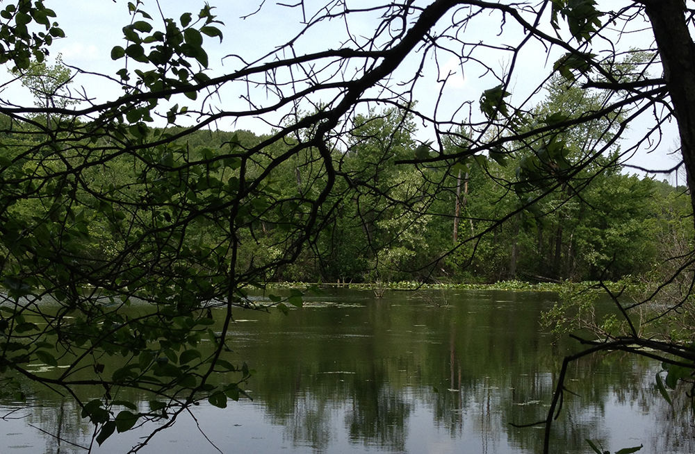 Egypt Swamp Preserve - Ohio Trails + Areas - OuterSpatial