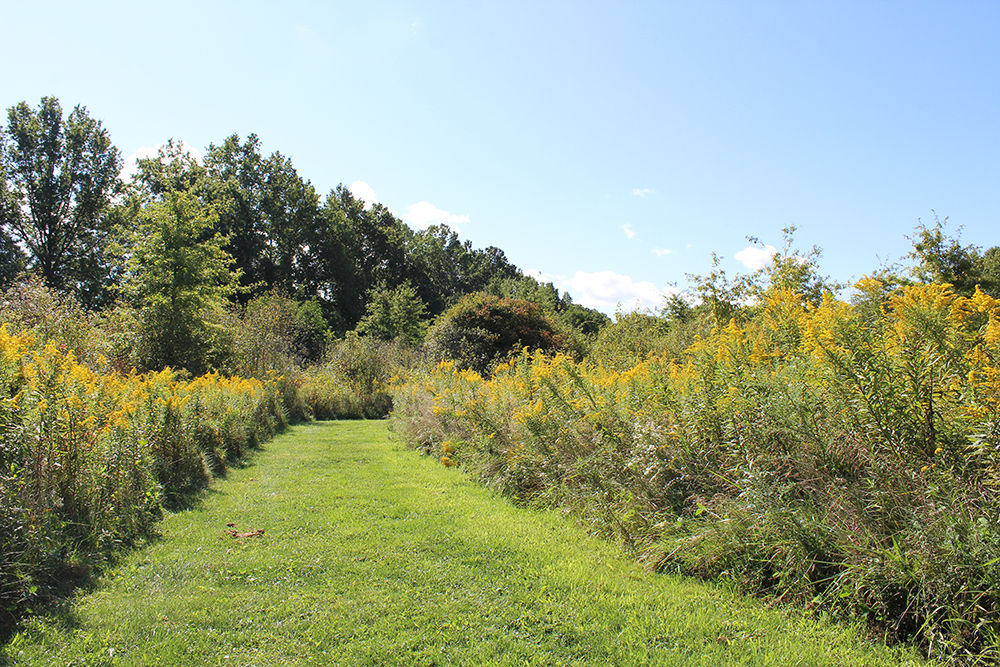 McGuffey Wildlife Preserve - Areas - OuterSpatial