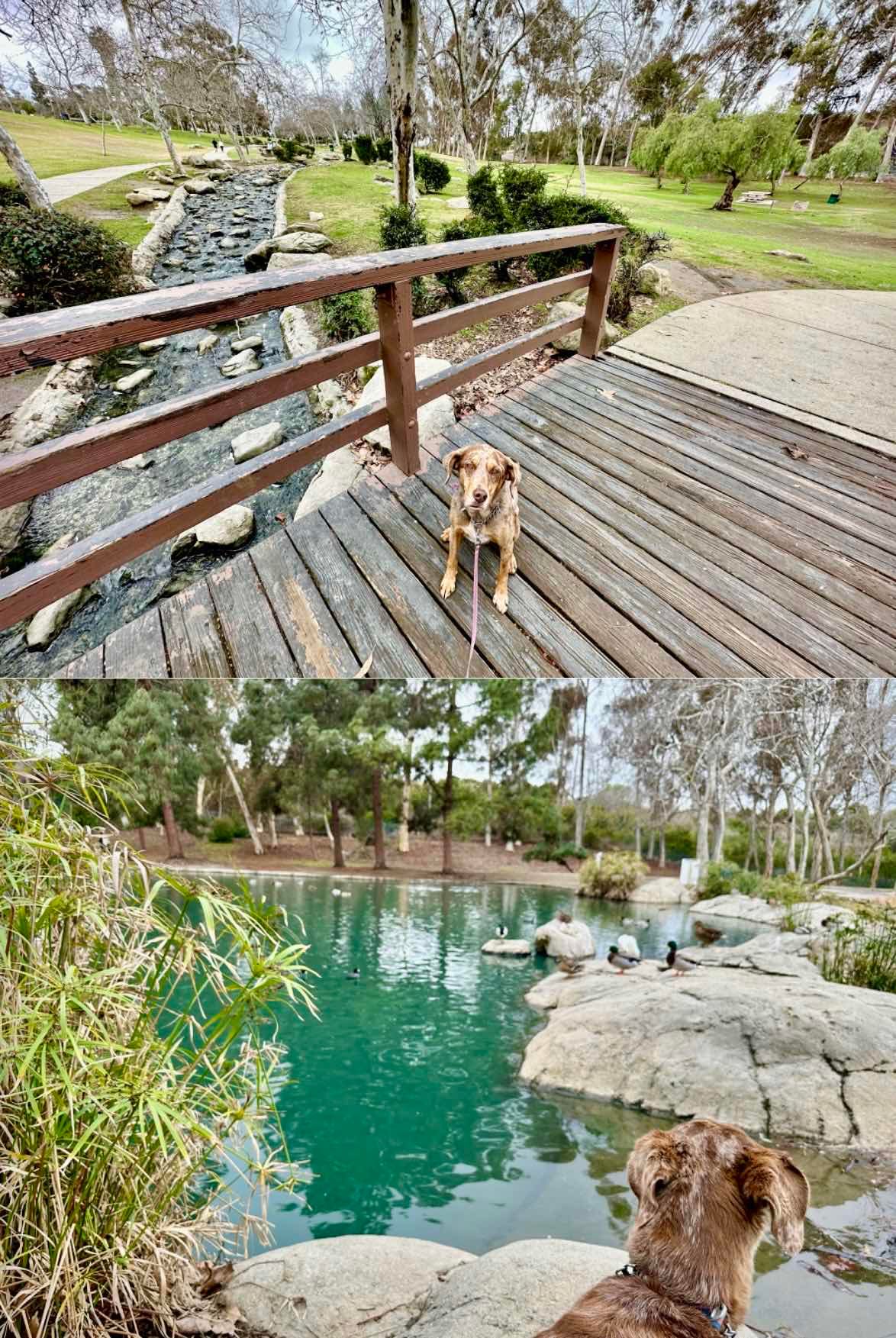 Kenneth Hahn State Recreation Area - Areas - OuterSpatial