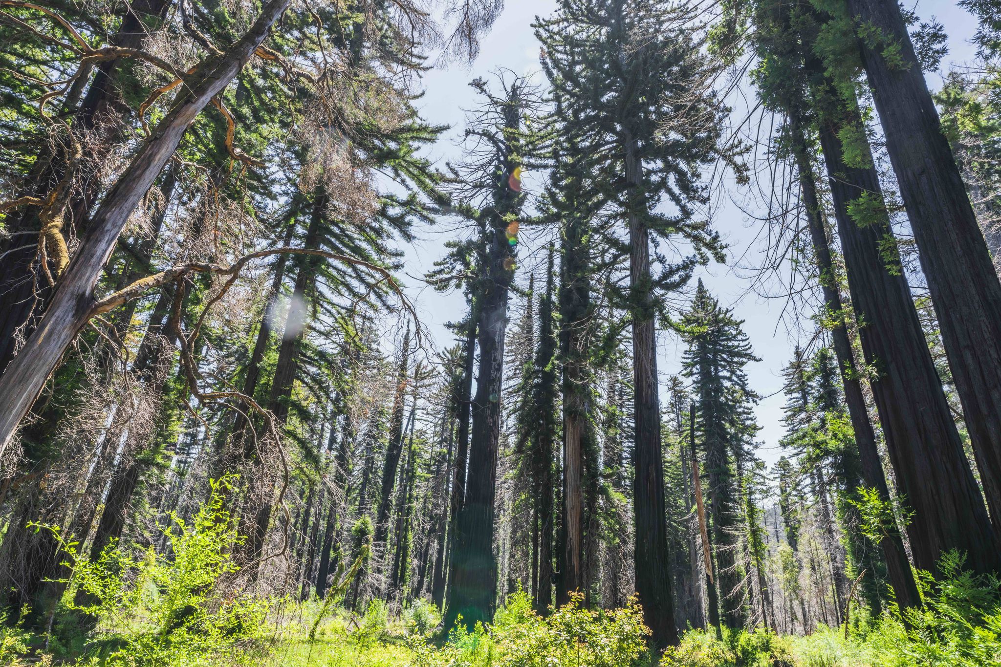 Trails in CA State Parks - OuterSpatial
