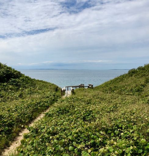 Beach Access Trail - Trails - OuterSpatial