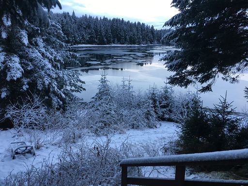 Afognak Island State Park - Areas - OuterSpatial
