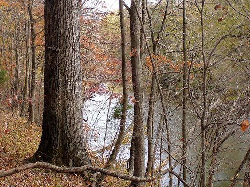 TCMP Red Trail - Trails - OuterSpatial