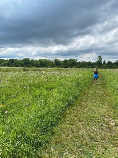 Heart Healthy: Carriage Hill Yellow Trail - Outings - OuterSpatial