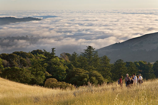 Bay Area Ridge Trail: Skyline Ridge and Russian Ridge Open Space ...