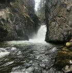 Bird Valley - Points of Interest - OuterSpatial