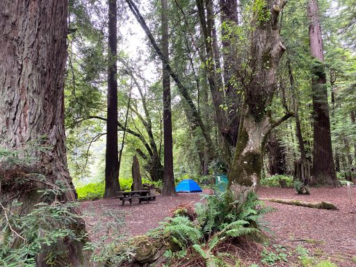 Gualala Point Campground - Points of Interest - OuterSpatial