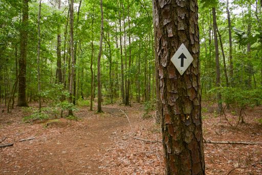 Blackwater NWR - Key Wallace Trail - Trails - OuterSpatial