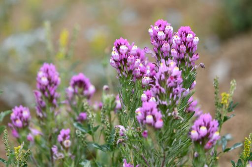 Nature Heritage Trail Connector - Trails - OuterSpatial